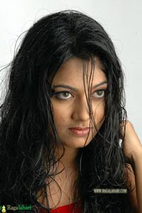 Suhasini Photo Session Photo Gallery