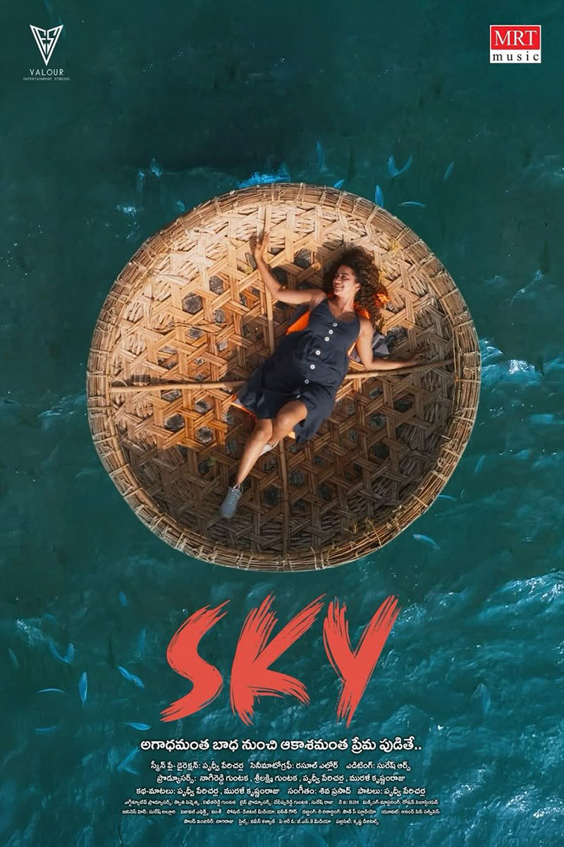 Sky News: Latest News and Updates about Sky